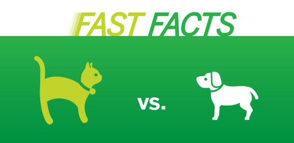 Living with Cat Allergies | FLONASE® Allergy Relief